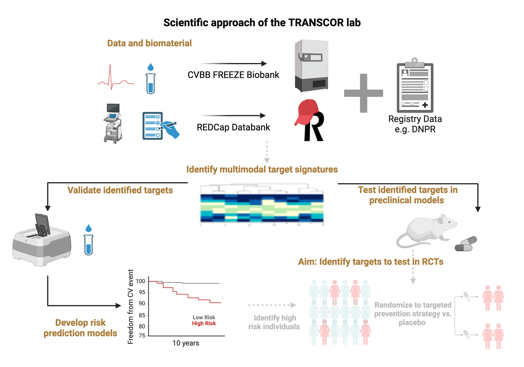 Translational Cardiovascular Outcomes Research - TRANSCOR ...