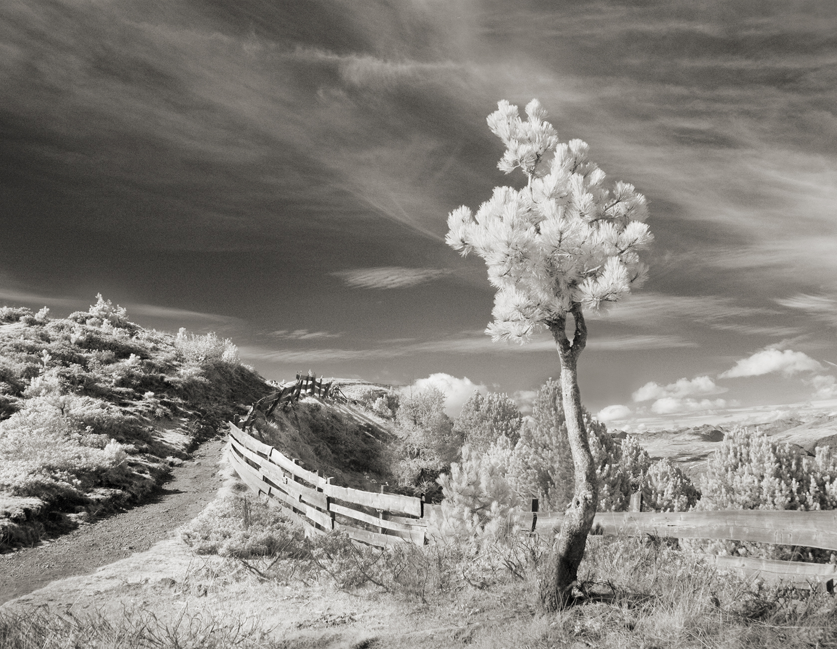 Fotografien der Gegensätze | Universitätsklinikum Freiburg