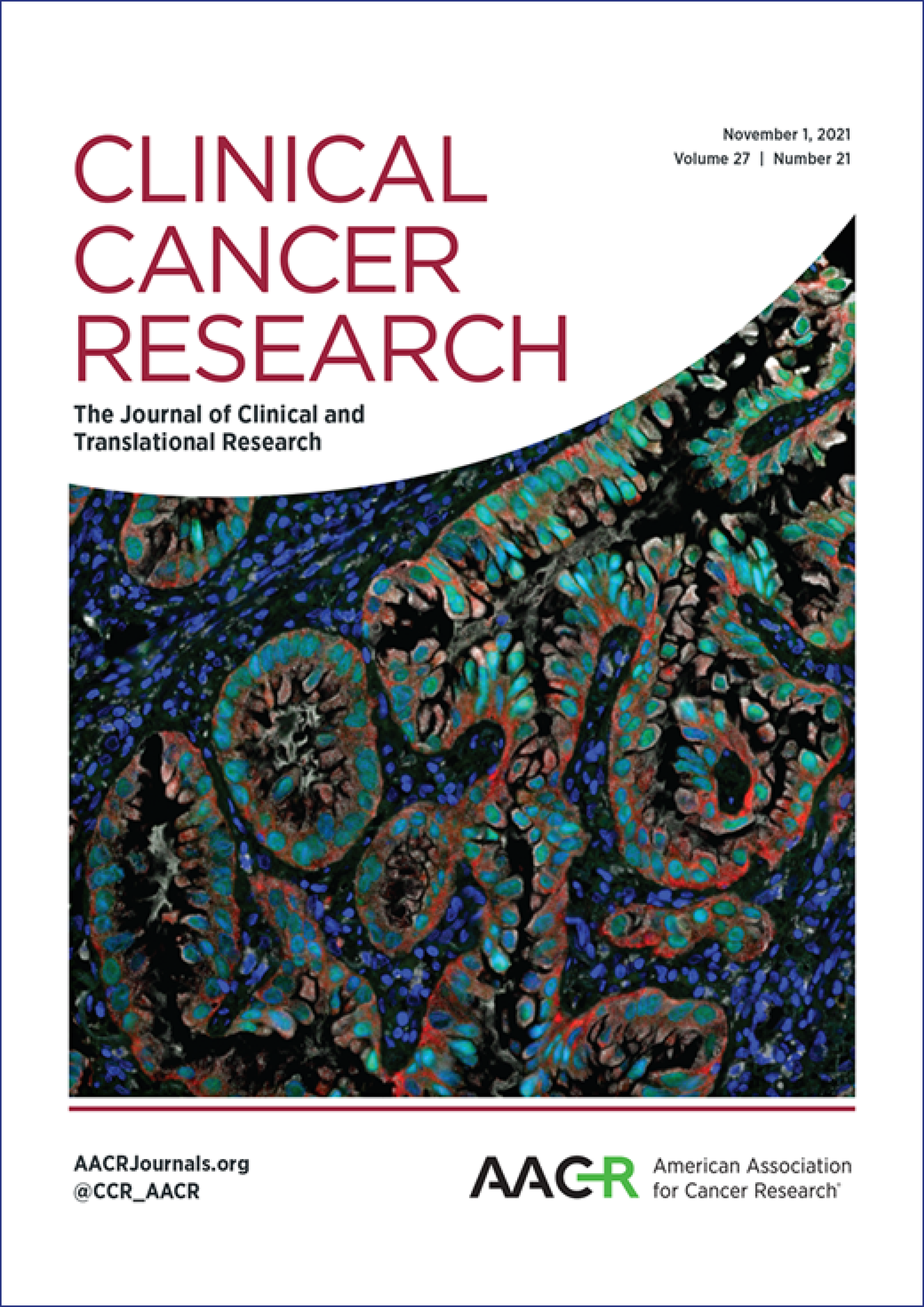 Maas-Bauer Laboratory | Universitätsklinikum Freiburg