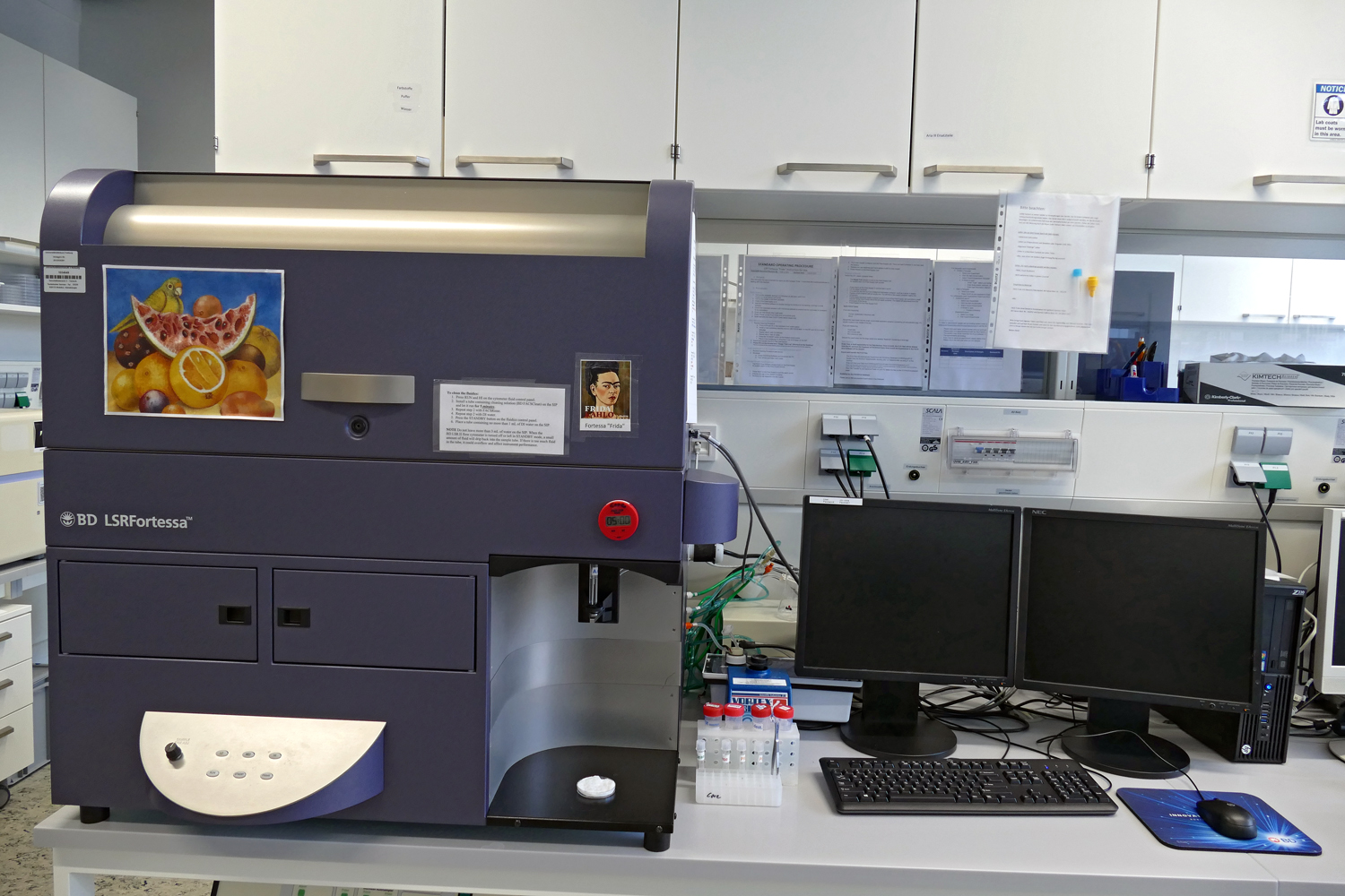 Lighthouse Core Facility | Universitätsklinikum Freiburg