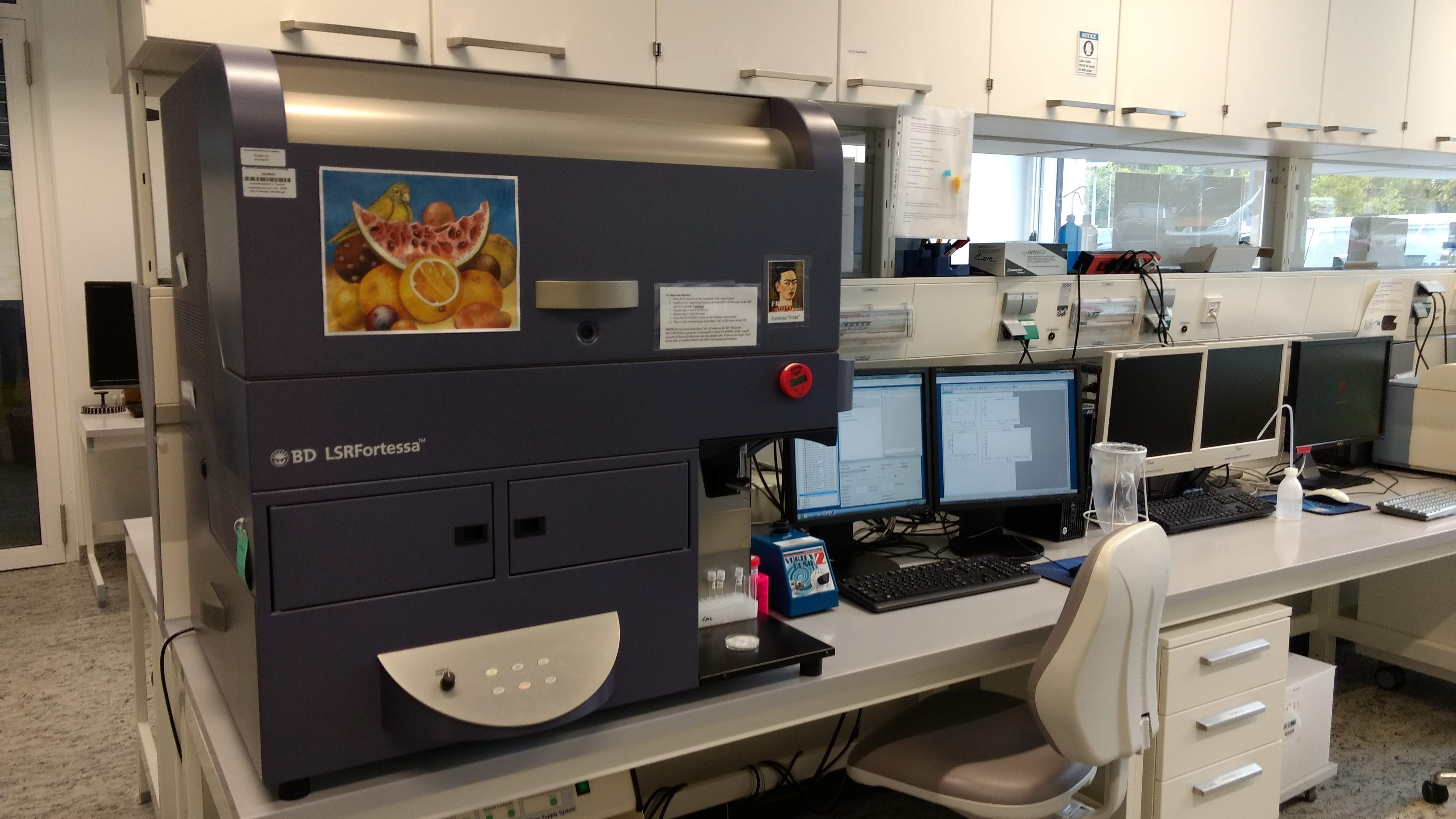 Lighthouse Core Facility | Universitätsklinikum Freiburg