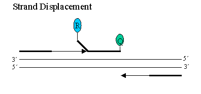 qpcr | Universitätsklinikum Freiburg